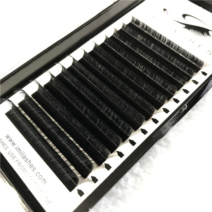 Eyelash Tabbing at Dolores Bruner blog